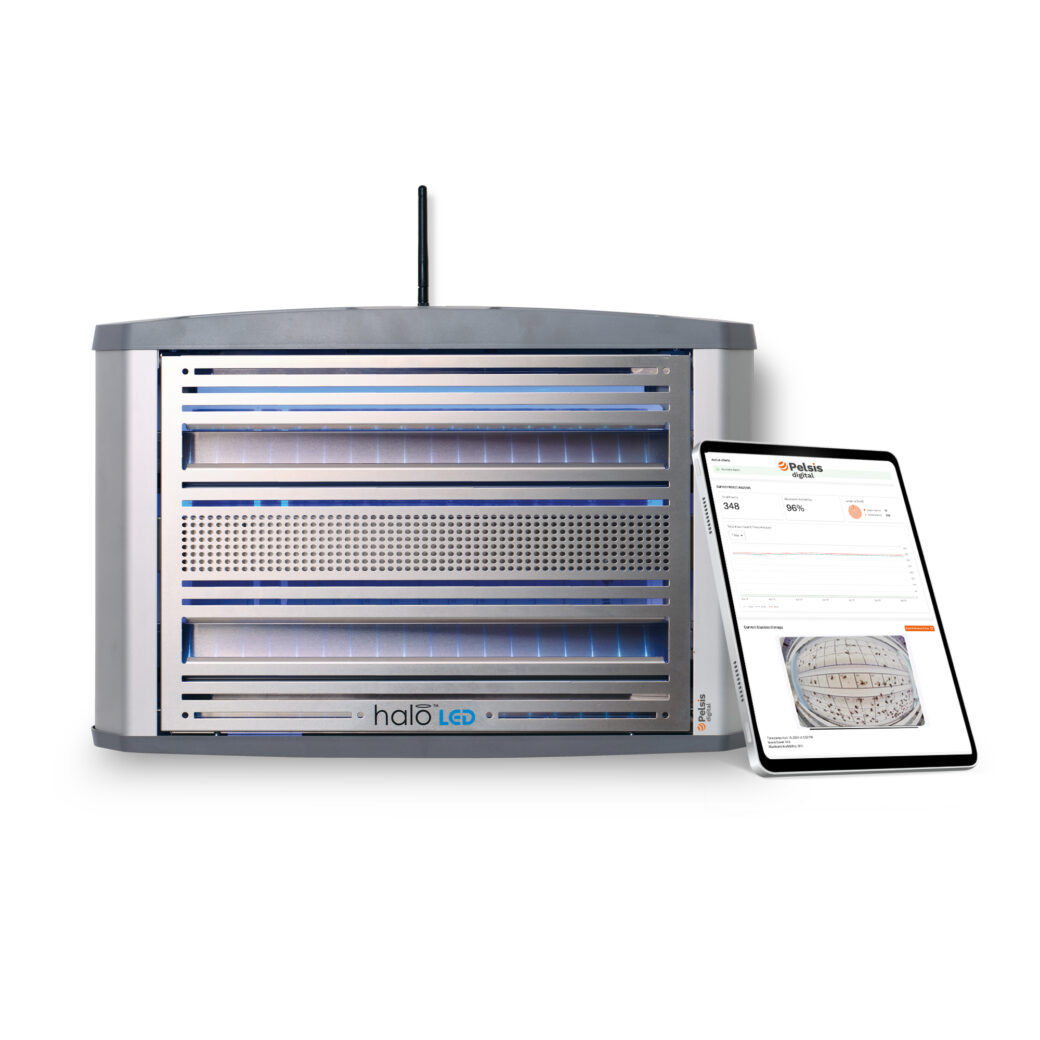 Professional Pest Control | Pelsis Insect Light Traps