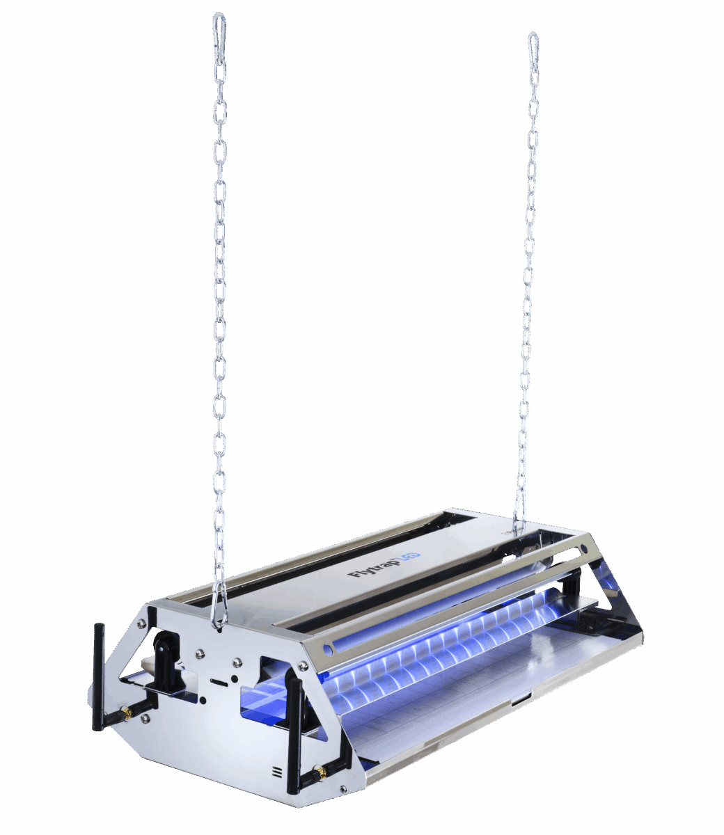 Digital FlyTrap LED 30 | Pelsis Insect Light Traps