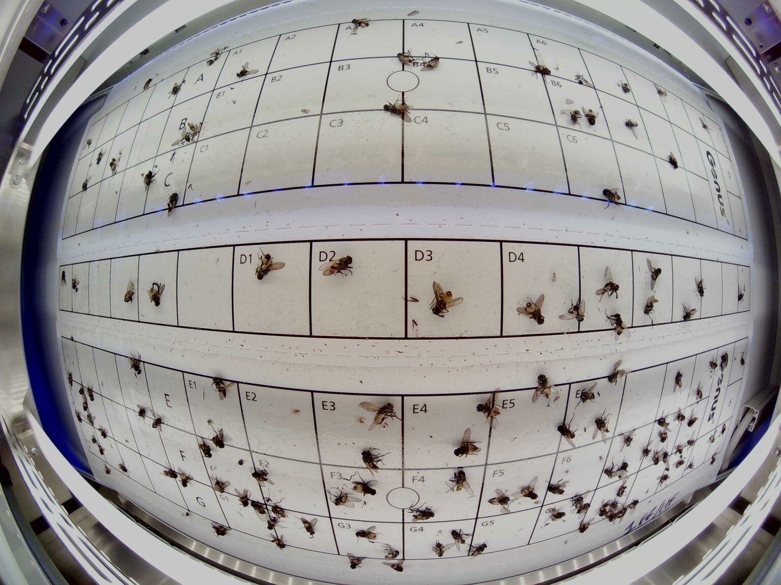 Welcome to Pelsis - Protect Your Business | Pelsis Insect Light Traps